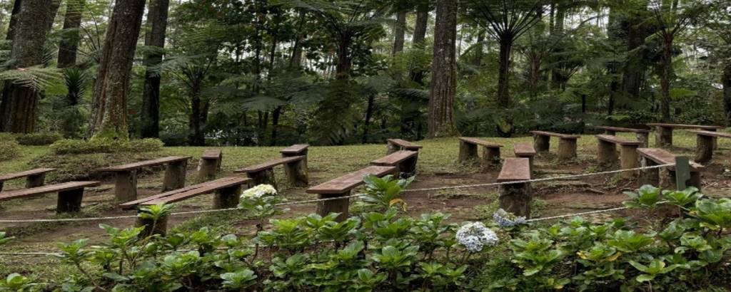 Climate Change Education through Art-Based and Narrative Approaches ...