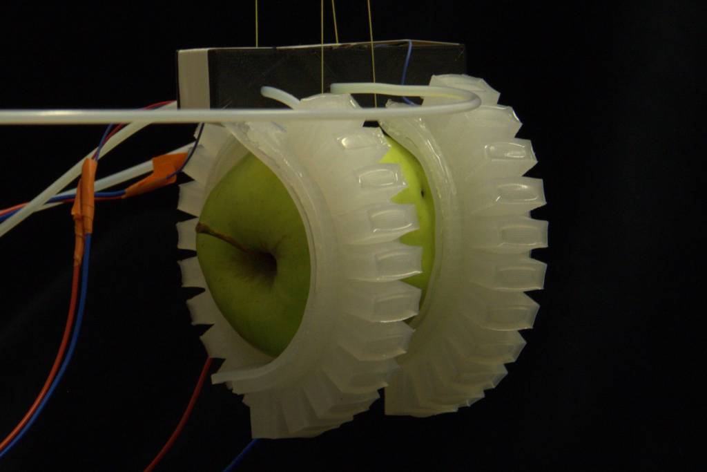 Sticky soft robots | Bioinspired Materials and Robotics Group | Tampere ...