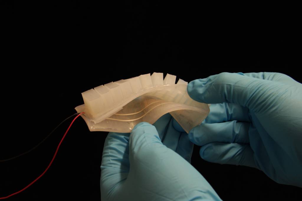 Sticky soft robots | Bioinspired Materials and Robotics Group | Tampere ...