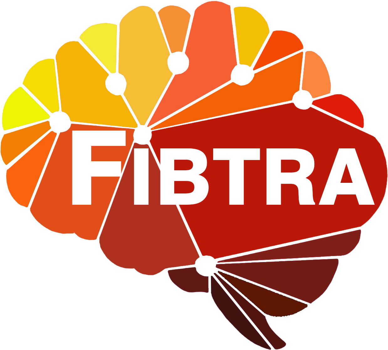 Cancer Regulation and Immunology | Granberg lab | Tampere Universities