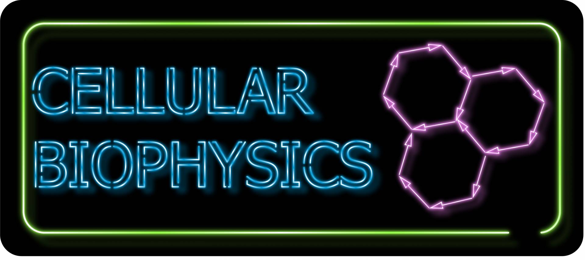 Cellular Biophysics | Tampere Universities