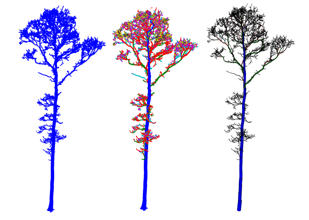 Forest science | Inverse problems group Tampere | Tampere Universities