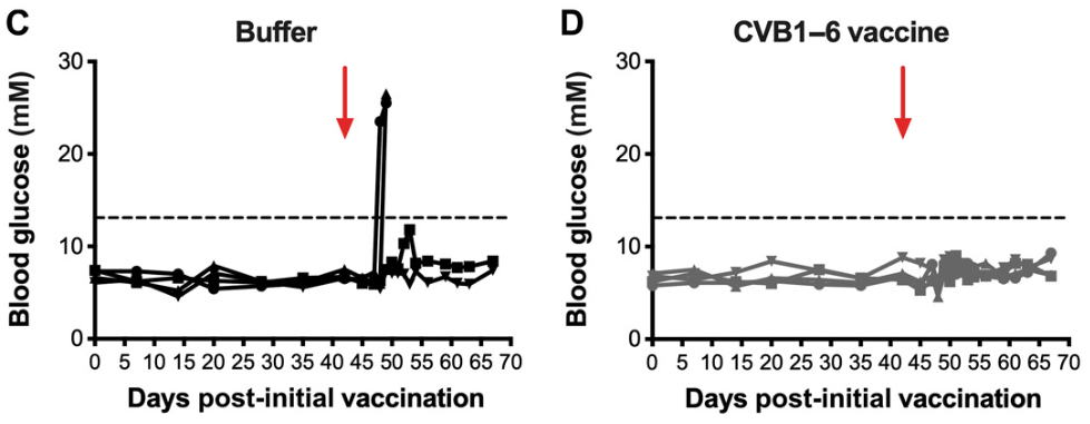 Publications | Virology and Vaccine Immunology (ViVa) | Tampere ...